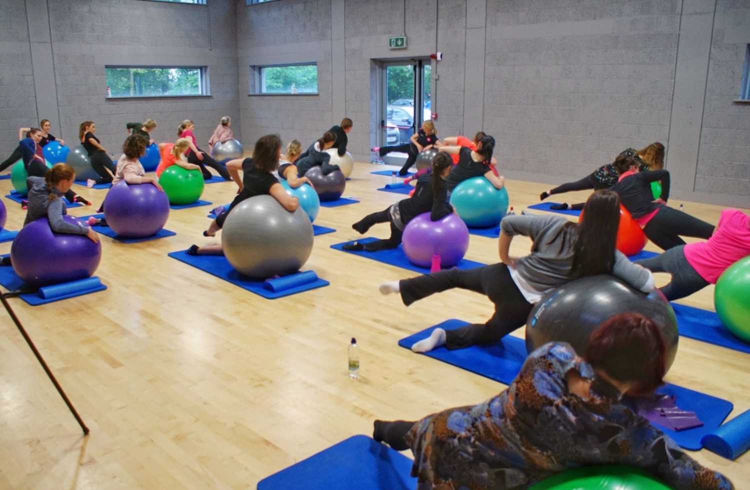 Bump Room Certificates Bundle - The Bump Room